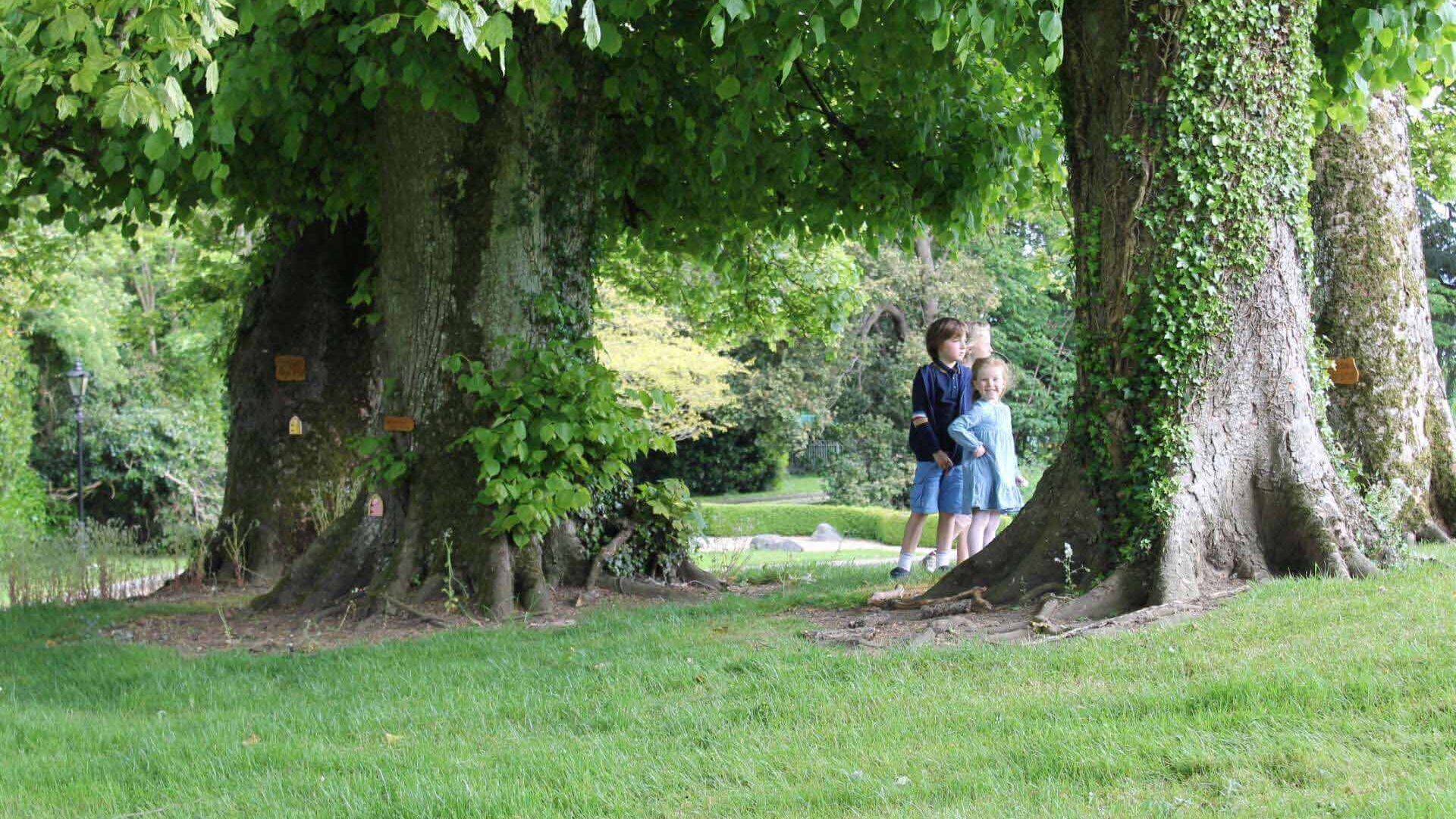 Dunboyne Village & Local Attractions in Co. Meath